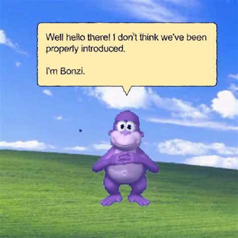 What Is Bonzi Buddy Chlistbooks