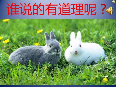 天冷我不怕 word文档在线阅读与下载 无忧文档