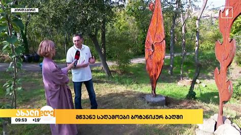 მწვანე საღამოები ბოტანიკურ ბაღში 1tv