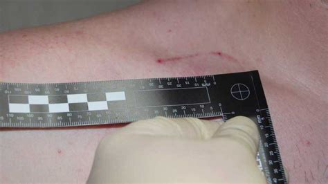 Slideshow Photographs Related To The Investigation Into Ashley Fallis Death Fox31 Denver