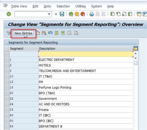 Create Segment In Sap