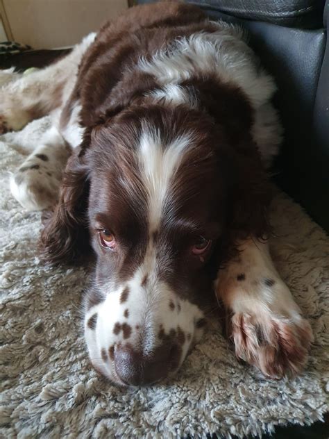 Daily Hugo Post 162 Rforsen Daily Hugo Post 162 Rforsen