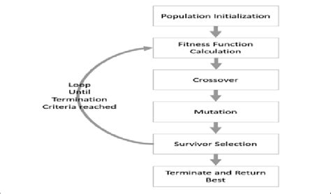 Genetic Algorithm Basic Structure Download Scientific Diagram
