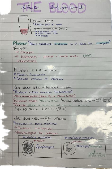 biology share and showcase obsidian forum