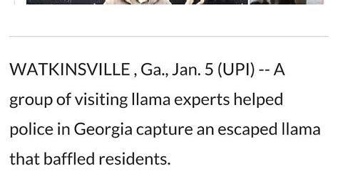 Llama Problems Album On Imgur