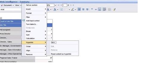 Performance Optimization For Webi Report Based On Sap Community