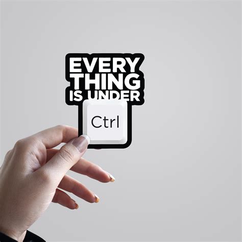 everything is under ctrl stickers organize and amuse with playful decals