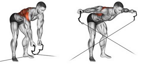 El Cable Rear Delt Fly ¡cómo Maximizar Este Ejercicio Para Los