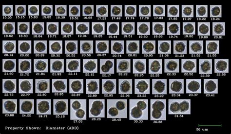 Microalgae Cultivation Algae Technology Flowcam