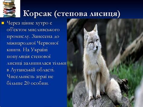 Тварини та рослини Червоної Книги України презентация онлайн