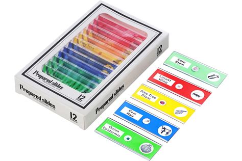 Цифровой микроскоп Levenhuk LabZZ DM200 LCD 76827 - выгодная цена ...