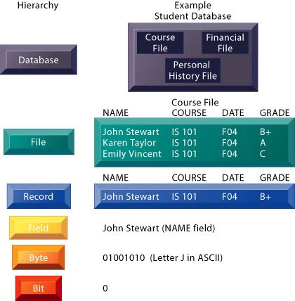 MANAGEMENT INFORMATION SYSTEMS Chapter 7