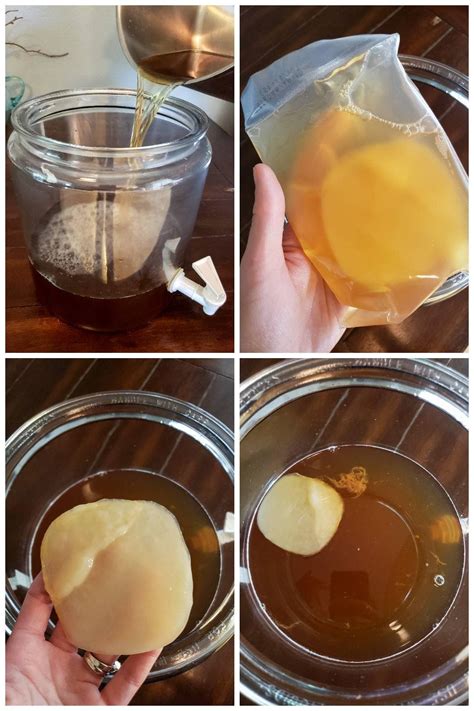 How To Make Kombucha 101 Kombucha Recipe And Brewing Basics 2026