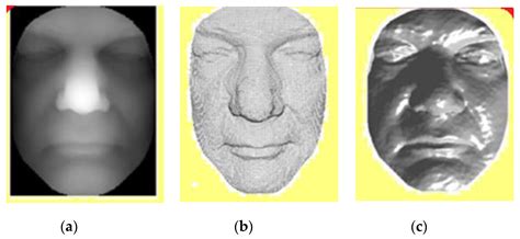 3d Face Identification Pdf