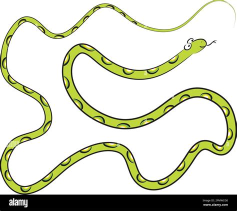 Long Snake Cartoon Cartoon Brown Snake Royalty Free Vector Image