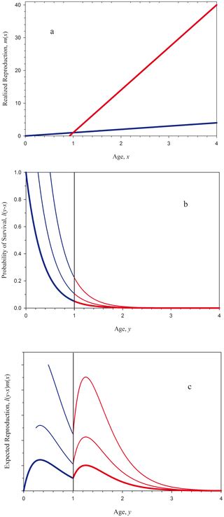 Condition Dependent Effects On Sex Allocation And Reproductive Effort In Sequential