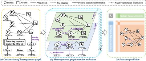 Figure 1 From Predicting Protein Functions Based On Heterogeneous Graph