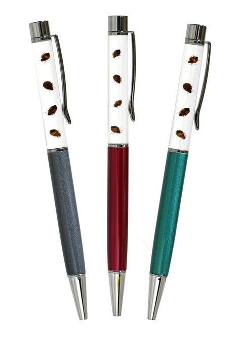 Preserved Bed Bug Pens Cimex Store