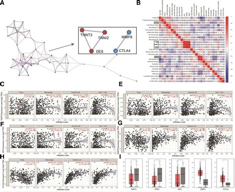 A Gene Interaction Network And Core Gene Network B Correlation Download Scientific Diagram