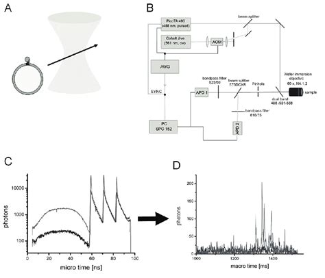 Monitoring Subunit Rotation In Single Ta2f O F 1 A The Confocal Download Scientific Diagram