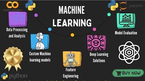 Do Web Ai Ml Nlp Java Flutter React Native Python Programming