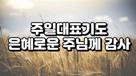대표기도│대표기도모음│ 은혜로운 주님께 감사 5월 4주 주일 대표기도문│5월 넷째주 기도│기도문 모음│주일 예배 기도문