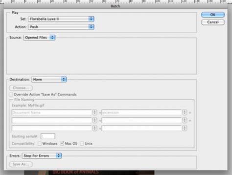 How To Play Photoshop Actions On Multiple Images With Batch Editing