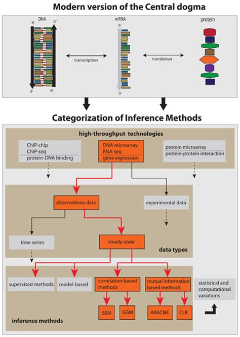 Conceptual Categorization Of Network Inference Methods And The Biology