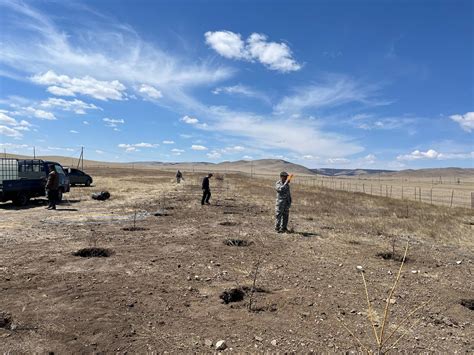 Монгол Улсын Ерөнхийлөгчийн санаачилсан ТЭРБУМ МОД үндэсний хөдөлгөөний хүрээнд