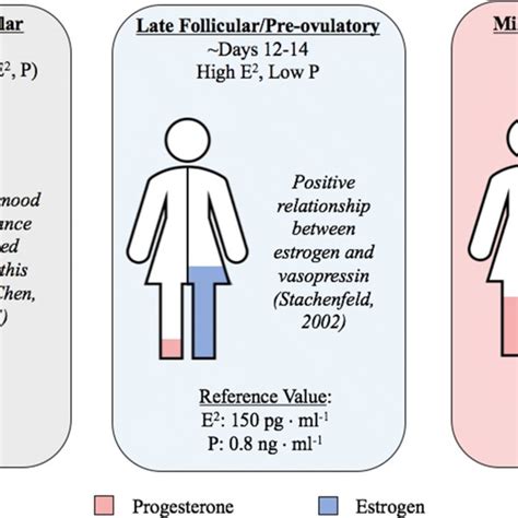 Relationship Between Dehydration And Female Sex Hormones Associated Download Scientific Diagram
