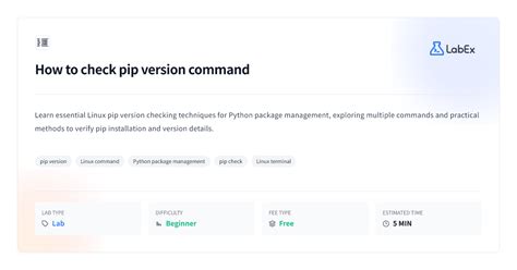 How To Check Pip Version Command Labex