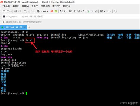 Linux中的ls命令 Csdn博客