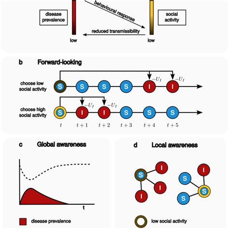 Schematic Illustration Of The Model A Feedback Loop Involving Download Scientific Diagram