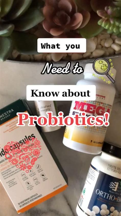 Health Benefits Of Probiotic Supplements Improve Your Gut Health Leaky Gut Artofit