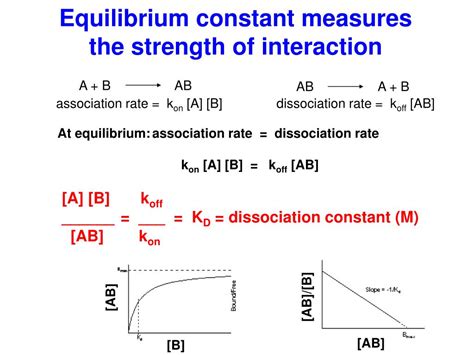 Ppt Discovering Macromolecular Interactions Powerpoint Presentation Free Download Id 6586951