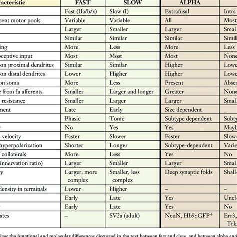 Summary Of Principal Differences Between Motor Neuron Subtypes Abc