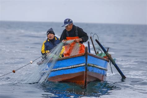Pesca Artesanal Provee Más Del 64 De Especies Para Consumo Humano