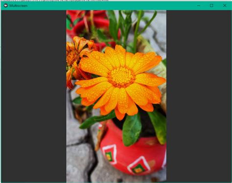 Python Gui Classic Example Using Kivymd And Kivy Screenmanager Position Md Images Carousel