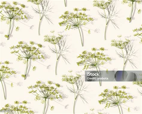 베이지 색 배경에 허브 식물 딜의 자연 우산 꽃 최소한의 자연 디자인 패턴 정물 꽃 신선한 딜 매운 허브 회향 자연 환경 벽지 음식 패턴 0명에 대한 스톡 사진 및 기타