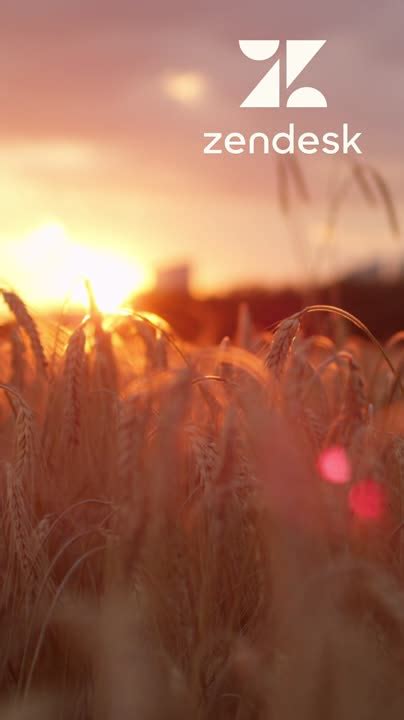 How Zendesk Sunshine™ Helps You Focus On Your Customers Pt Trees Solutions Posted On The