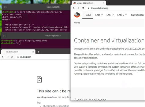 Cannot Access Network In Containers Lxd Linux Containers Forum