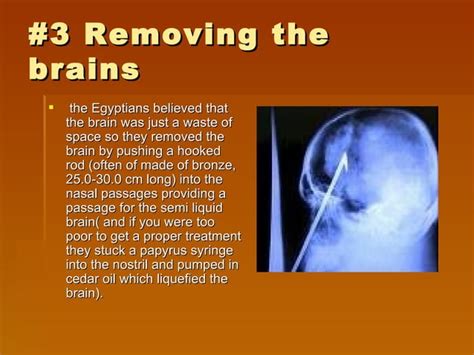 Mummification Steps To Life Ppt