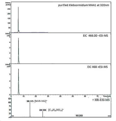 High Resolution Electrospray Ionization Mass Spectrometry