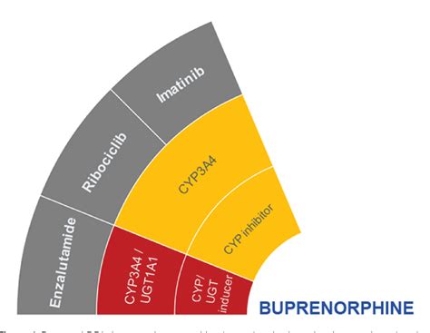 Figure 1 From Opioid Metabolism And Drug Drug Interaction In Cancer