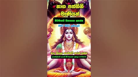 Paththini Maniyo නාග පත්තිනි අම්මා වෙනුවෙන් ගැයෙන බලගතු යහන් කවි Youtube