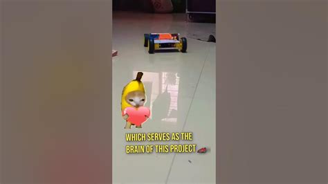 Building An Arduino Nano Rc Car Shorts Rccar Diy Youtube