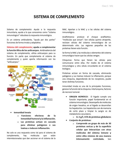 Sistema De Complemento Descargar Gratis Pdf Sistema Complementario Sistema Inmune