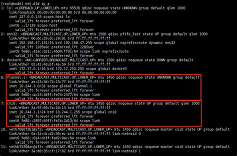 记一次使用flannel插件排错历程 李大鹅 博客园