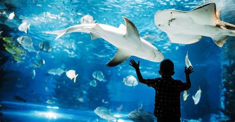 Kitchen Pass Charters Added A New Kitchen Pass Charters