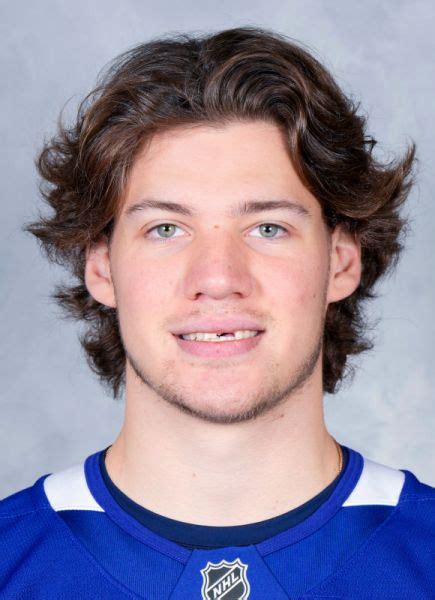 Nikita Grebenkin Hockey Stats And Profile At